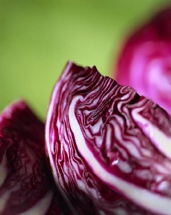 Herb of the month, Central New York's Herb Expert, Herbs, Medicinal ...